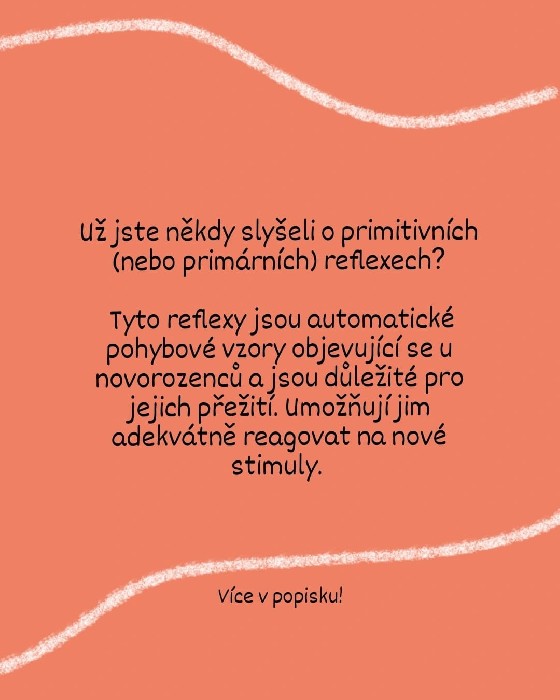 Primární reflexy :: SilvERGO